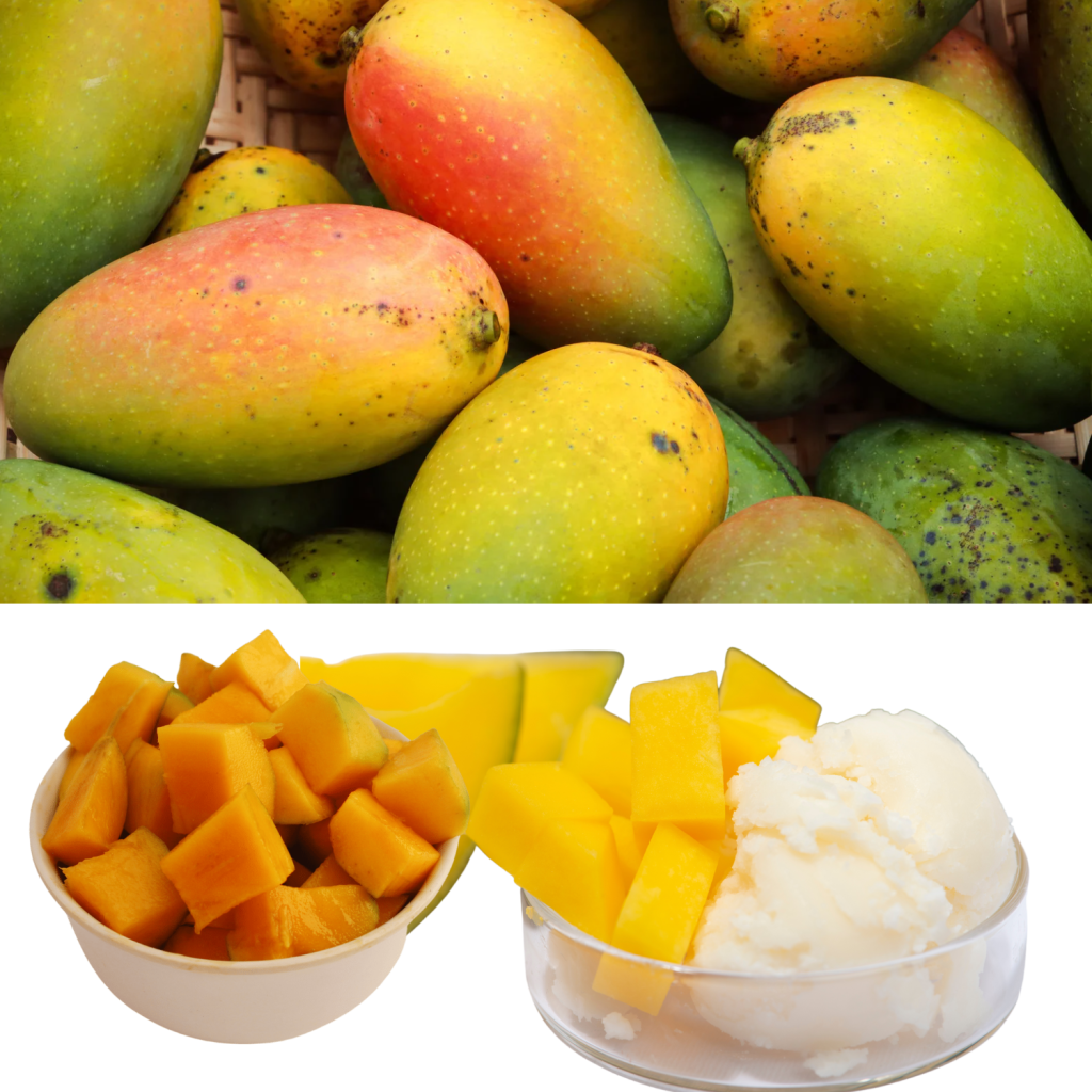 Mango Butter Nutrients and Benefits